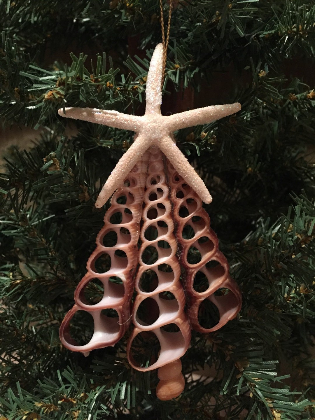 Unique Sliced Seashell Christmas Tree Ornament - Etsy