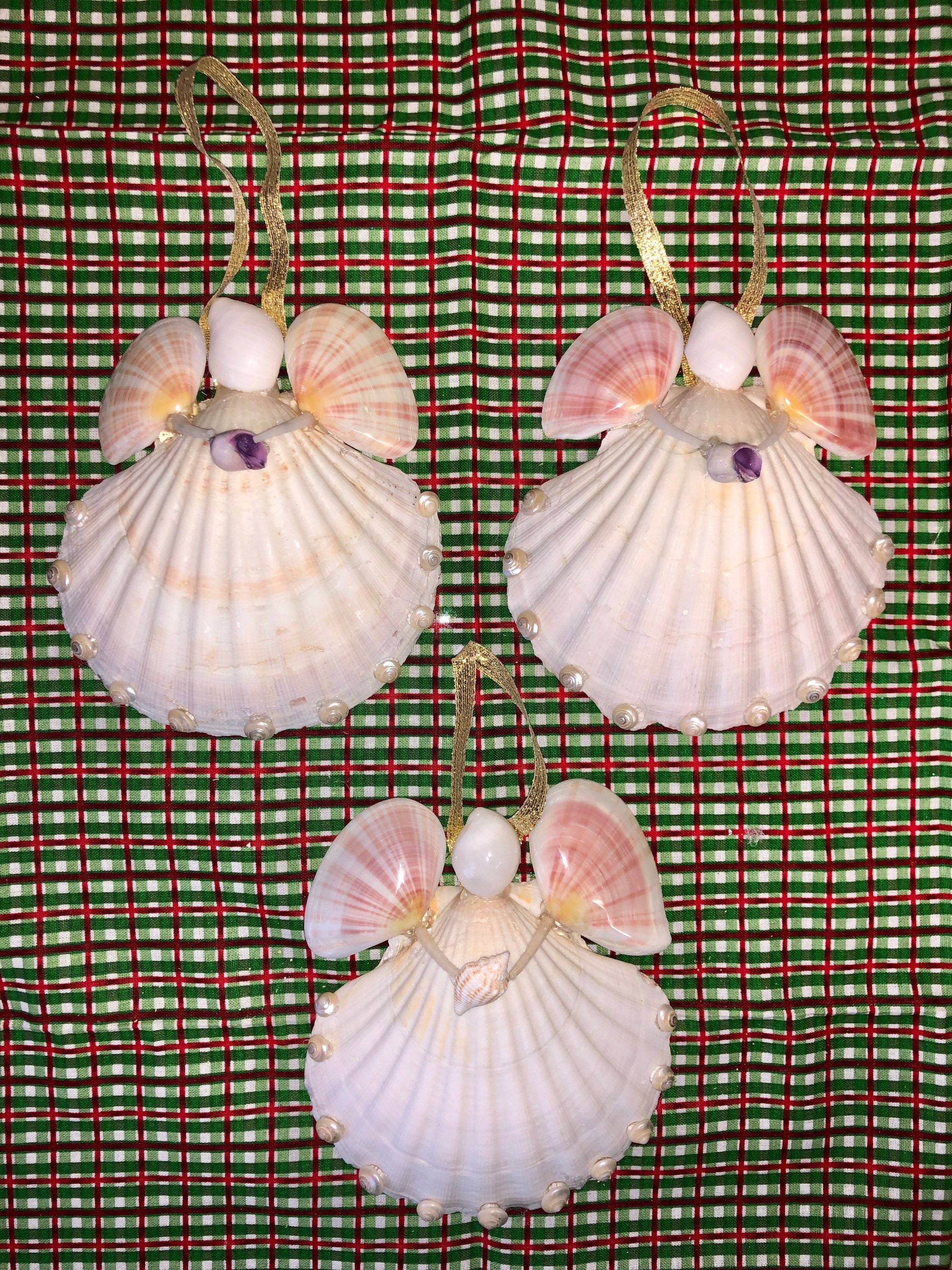 Large Seashell Angel Holding Small Seashell | Etsy