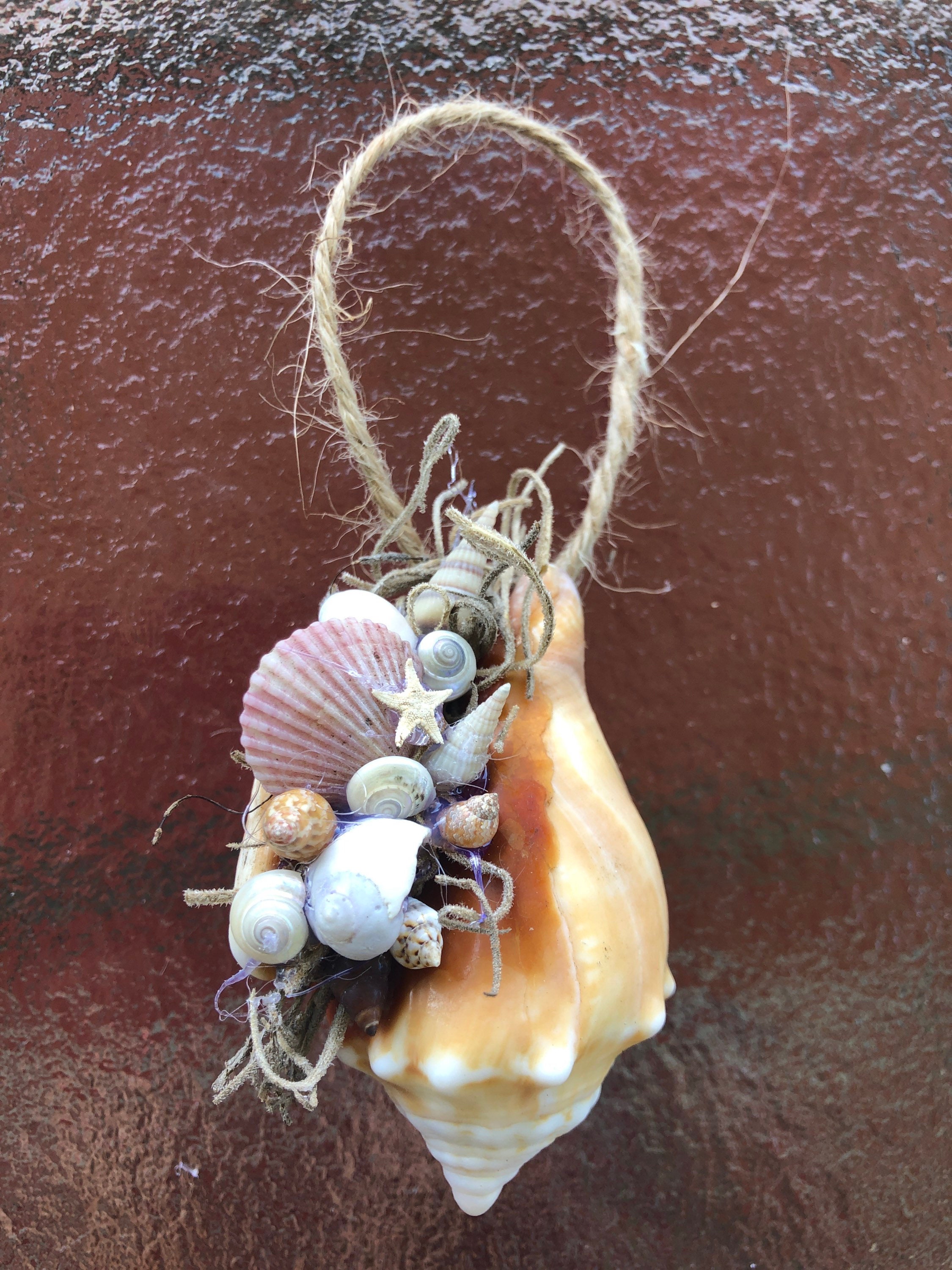 Filled Sanibel Fighting Conch Shell Ornament - Etsy