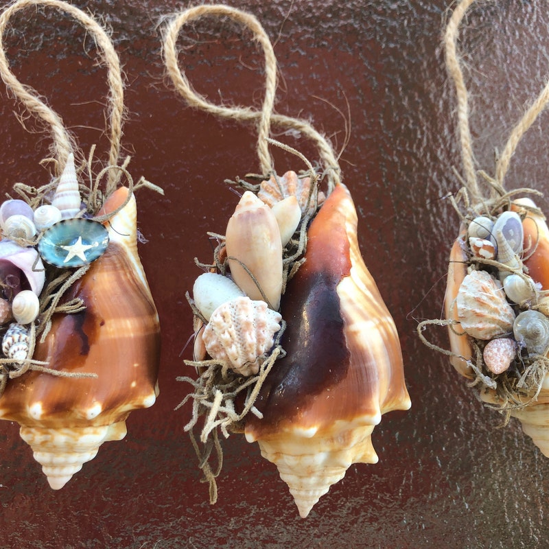 Conch Shell Art - Etsy