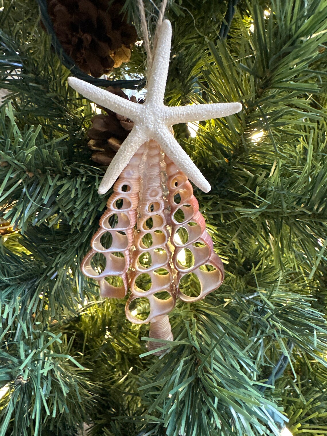 Unique Sliced Seashell Christmas Tree Ornament - Etsy