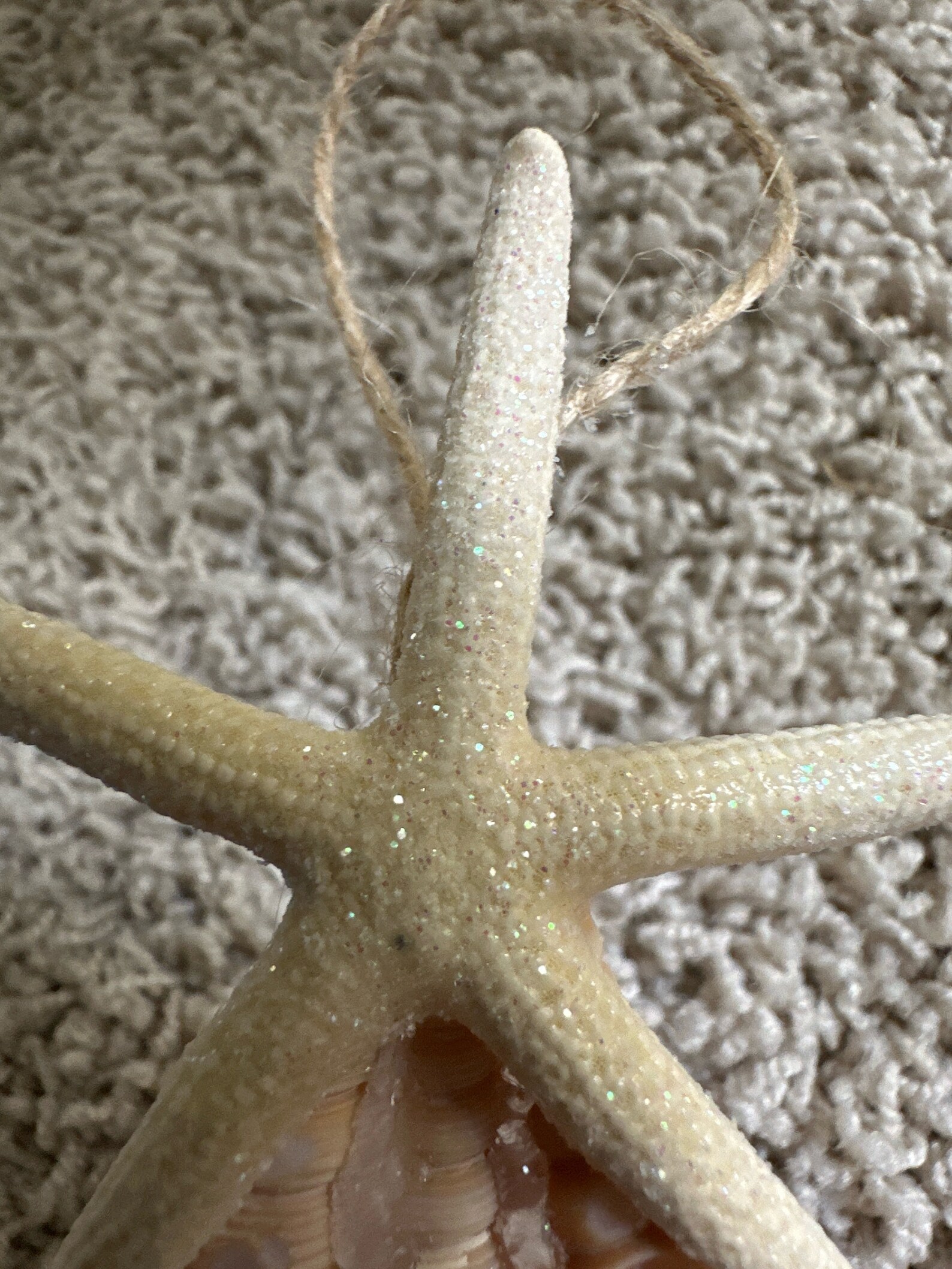 Unique Sliced Seashell Christmas Tree Ornament - Etsy