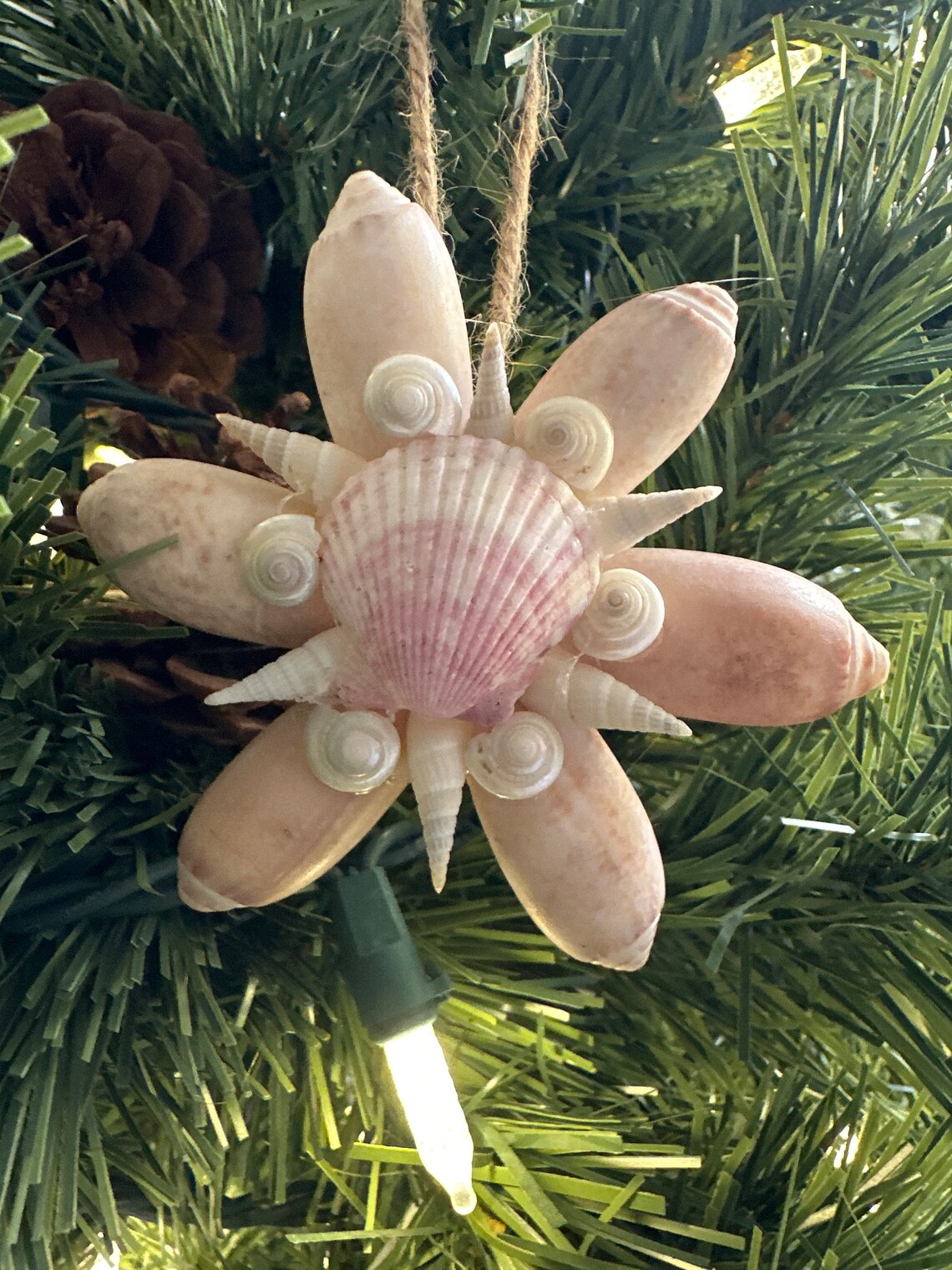 Olive, Scallop, and Augur Shell Flower Ornament - Etsy