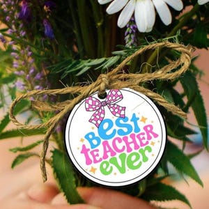 Teacher Appreciation Printable Tags | Printable Best Teacher Ever Gift ...