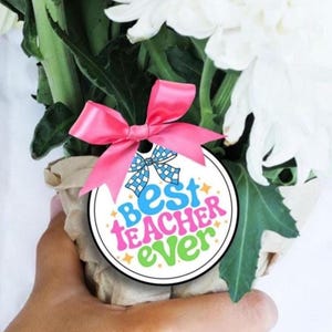Teacher Appreciation Printable Tags | Printable Best Teacher Ever Gift ...