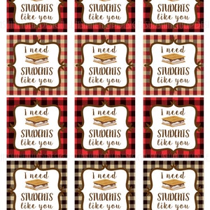 Printable I Need SMORE Students Like You Tags | Printable Student ...