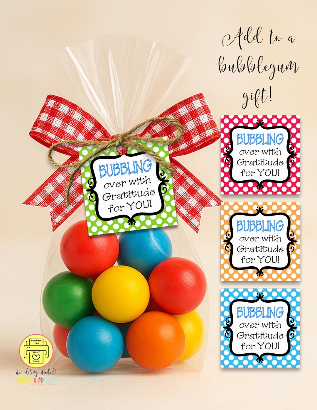 Printable Teacher Appreciation Tags | Bubbling Over With Gratitude for ...