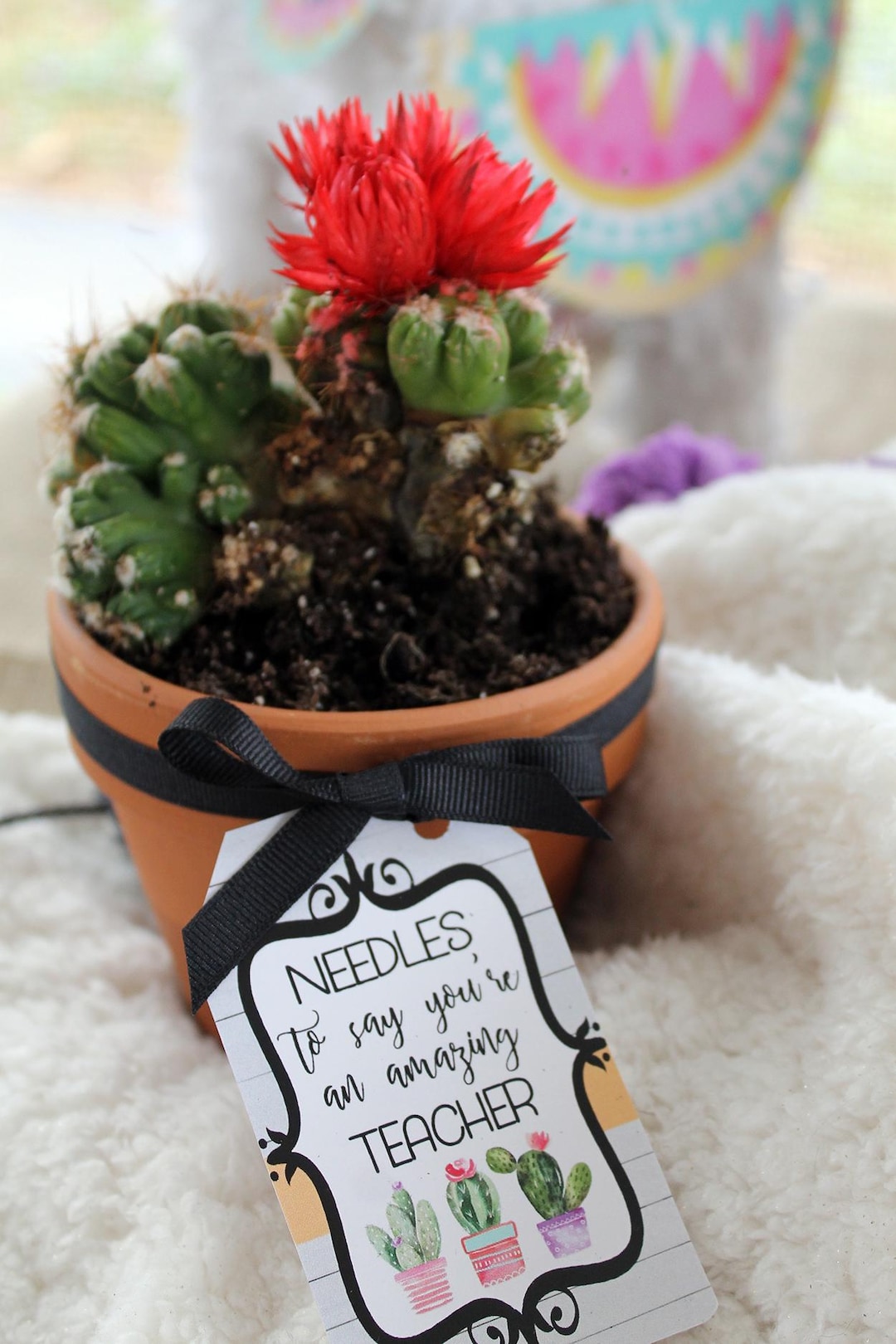 Printable Cactus Gift Tags | Printable Teacher Appreciation Gift Tags ...