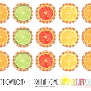 Printable Citrus Party Decorations, Printable Bridal Shower Decorations ...
