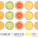 Printable Citrus Party Decorations Printable Bridal Shower - Etsy