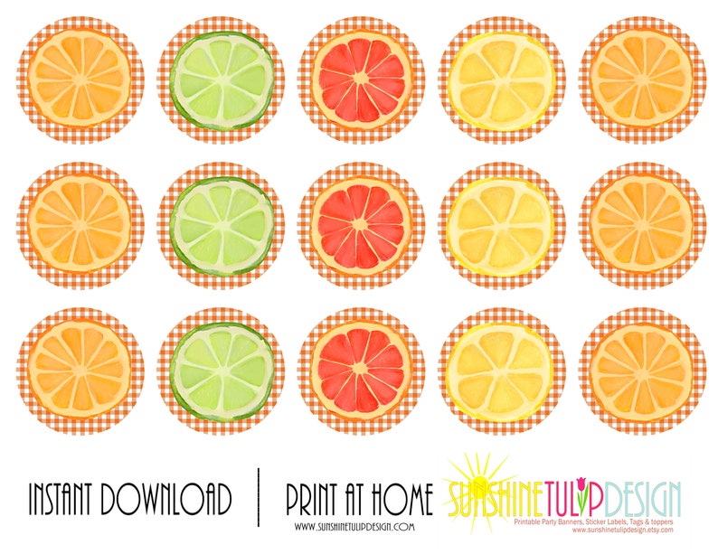 Printable Citrus Party Decorations Printable Bridal Shower | Etsy