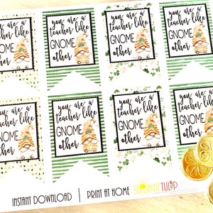 Printable St Patrick's Day Gift Tags, A Teacher Like Gnome Other Gift ...