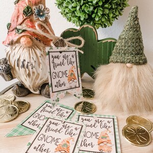Printable St Patrick's Day Gift Tags, A Friend Like Gnome Other Gift ...