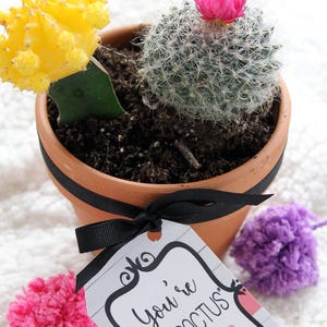 Printable Cactus Gift Tags | Printable Teacher Appreciation Gift Tags ...