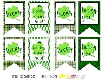 Printable St Patrick's Day Gift Tags You Are My Lucky | Etsy