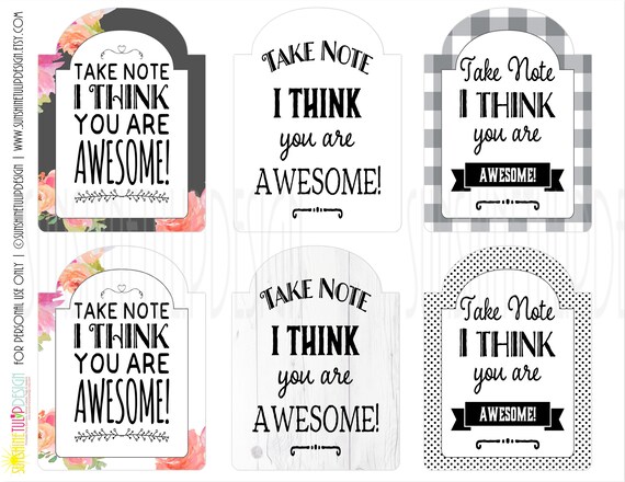 I Think You Are Awesome