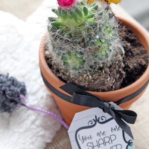 Printable Cactus Gift Tags | Printable Teacher Appreciation Gift Tags ...