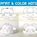 Color Me Kids Costume Hat, Birthday Party Supplies/decorations, DIY ...