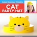 Kids Costume Hat, Birthday Party Supplies/decorations, DIY Headband ...