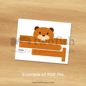 Beaver Forest Animal Birthday Party Supplies/decorations, Kids/toddlers ...