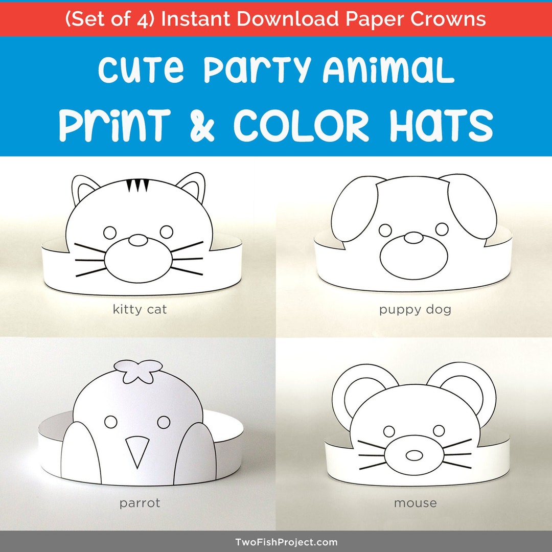 Color Me Kids Costume Hat, Birthday Party Supplies/decorations, DIY ...