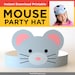 Kids Costume Hat, Birthday Party Supplies/decorations, DIY Headband ...