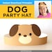 Kids Costume Hat, Birthday Party Supplies/decorations, DIY Headband ...