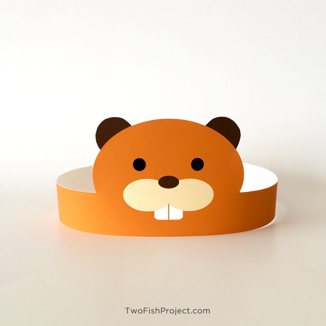 Beaver Forest Animal Birthday Party Supplies/decorations, Kids/toddlers ...