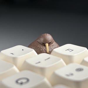 Sleepy Kiwi Bird Keycap for MX Style Mechanical Keyboard Switches - Etsy