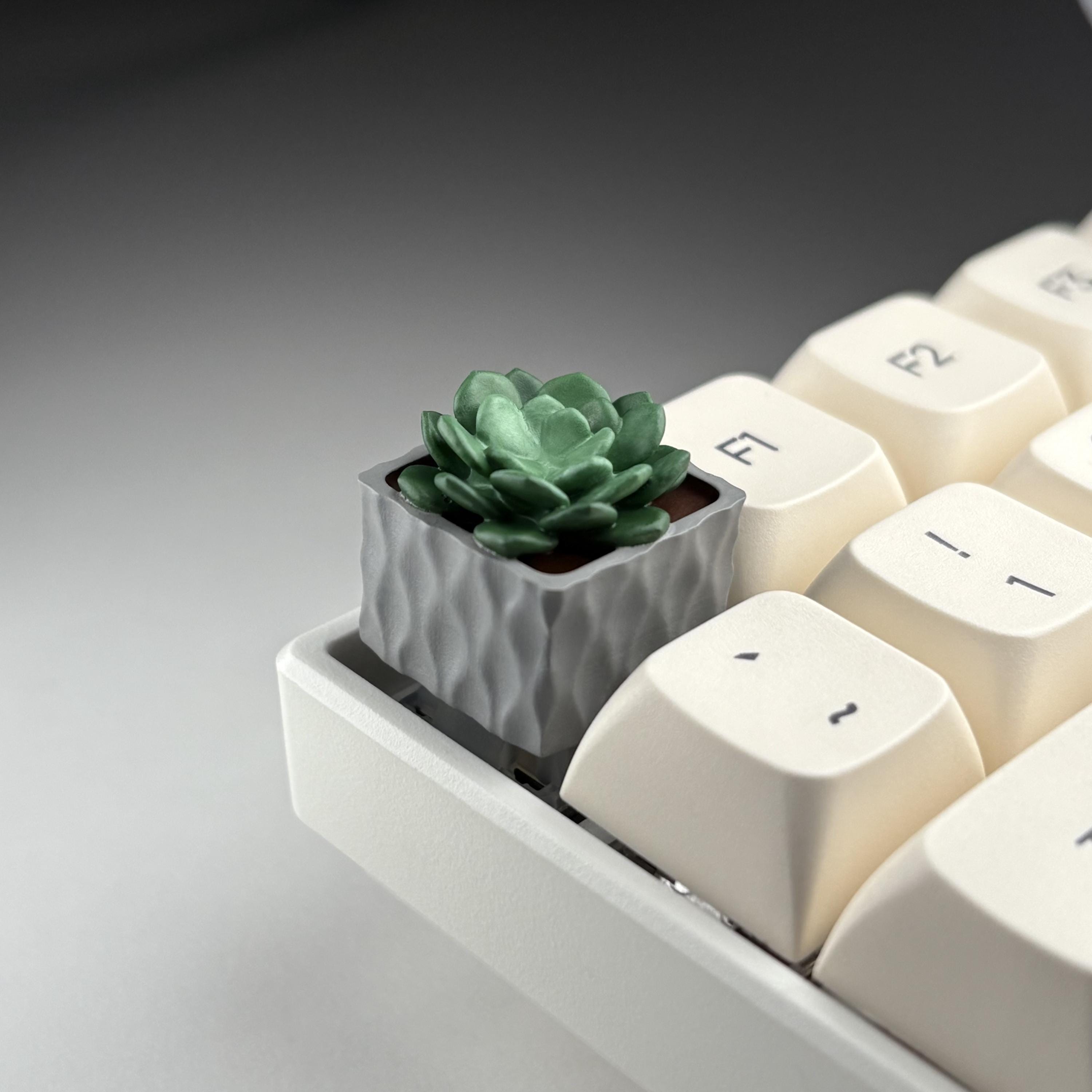 Succulent Artisan Keycap for MX Style Mechanical Keyboard Switches - Etsy