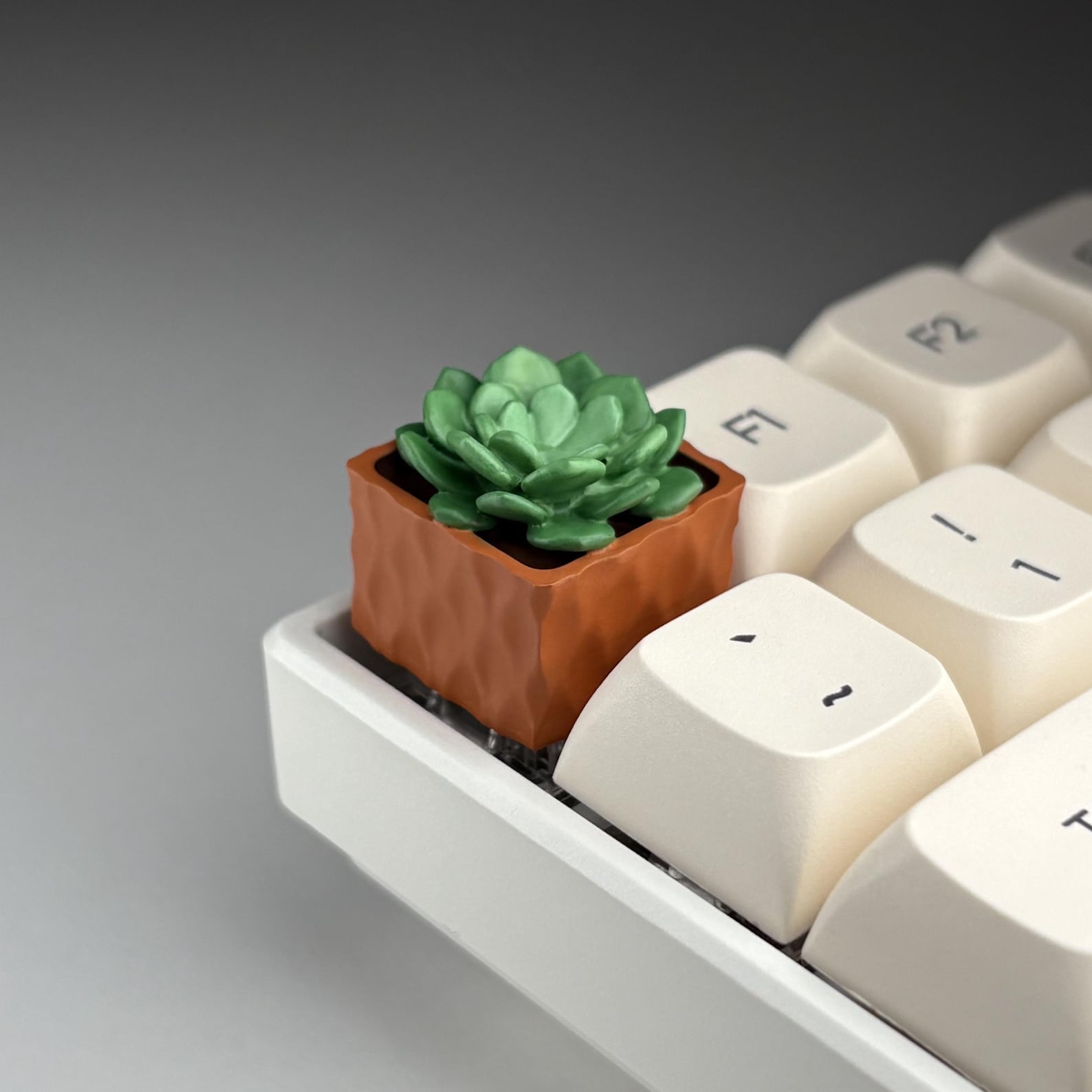 Succulent Artisan Keycap for MX Style Mechanical Keyboard Switches - Etsy