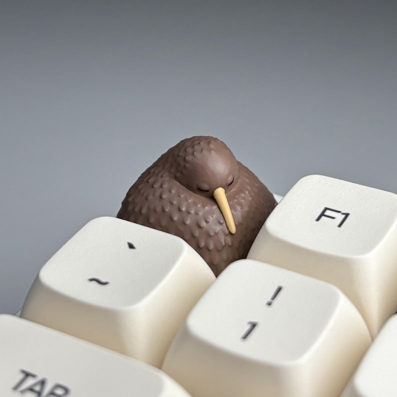 Sleepy Kiwi Bird Keycap for MX Style Mechanical Keyboard Switches - Etsy