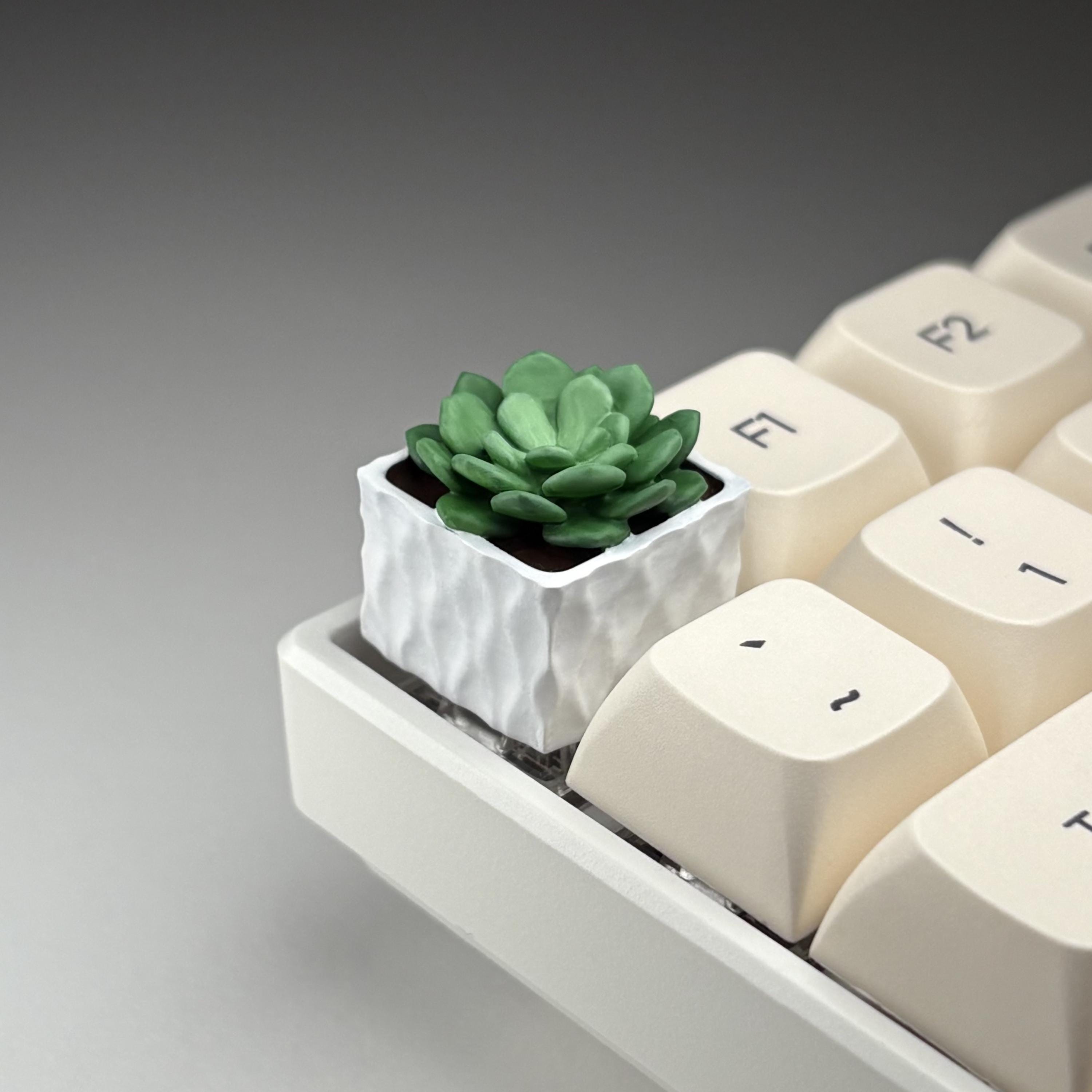 Succulent Artisan Keycap for MX Style Mechanical Keyboard Switches - Etsy