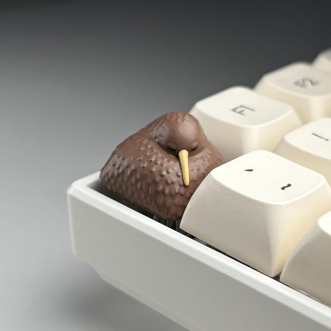 Sleepy Kiwi Bird Keycap for MX Style Mechanical Keyboard Switches - Etsy