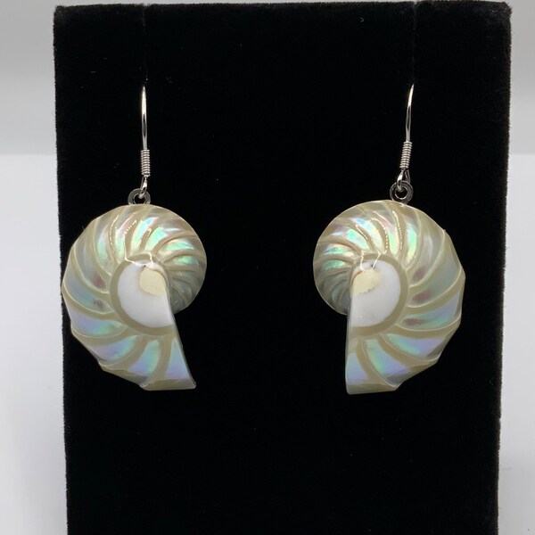 Nautilus Shell - Etsy