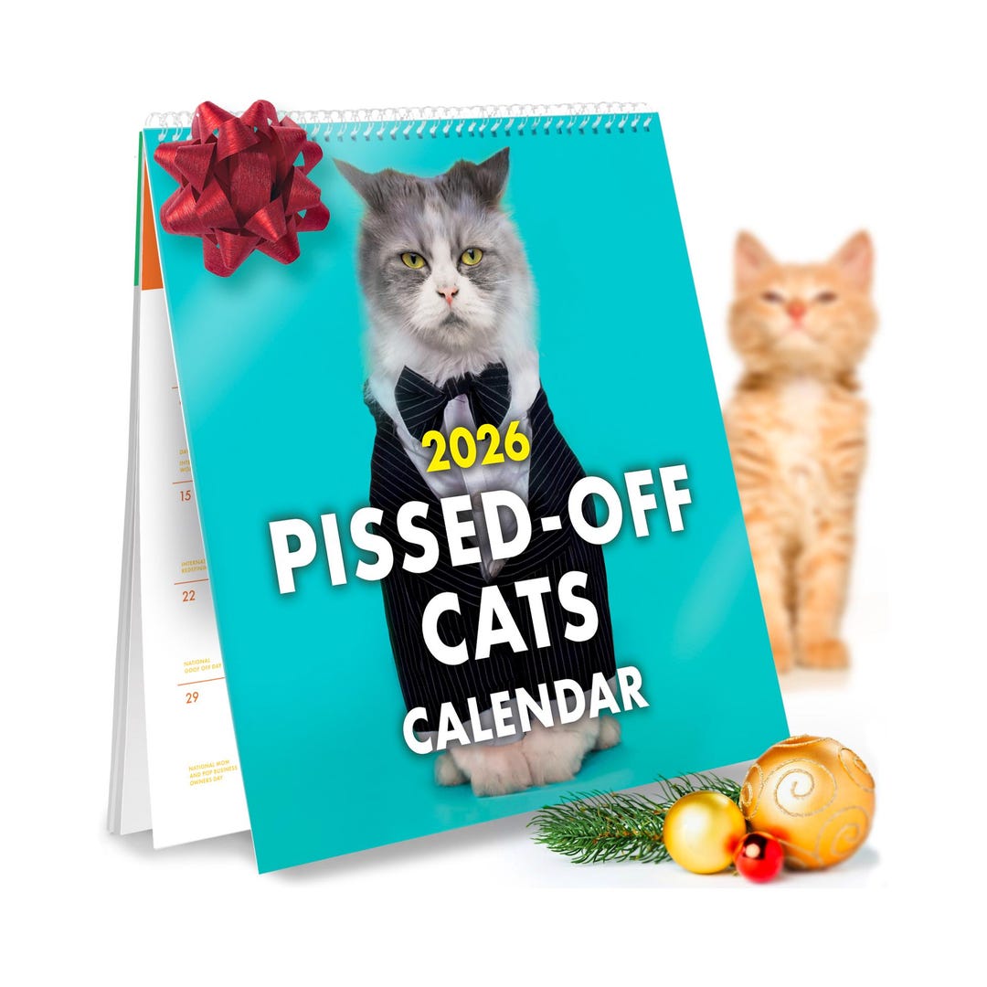 Pissed-off Cats 2026 Funny Calendar for Cat Lovers - Etsy