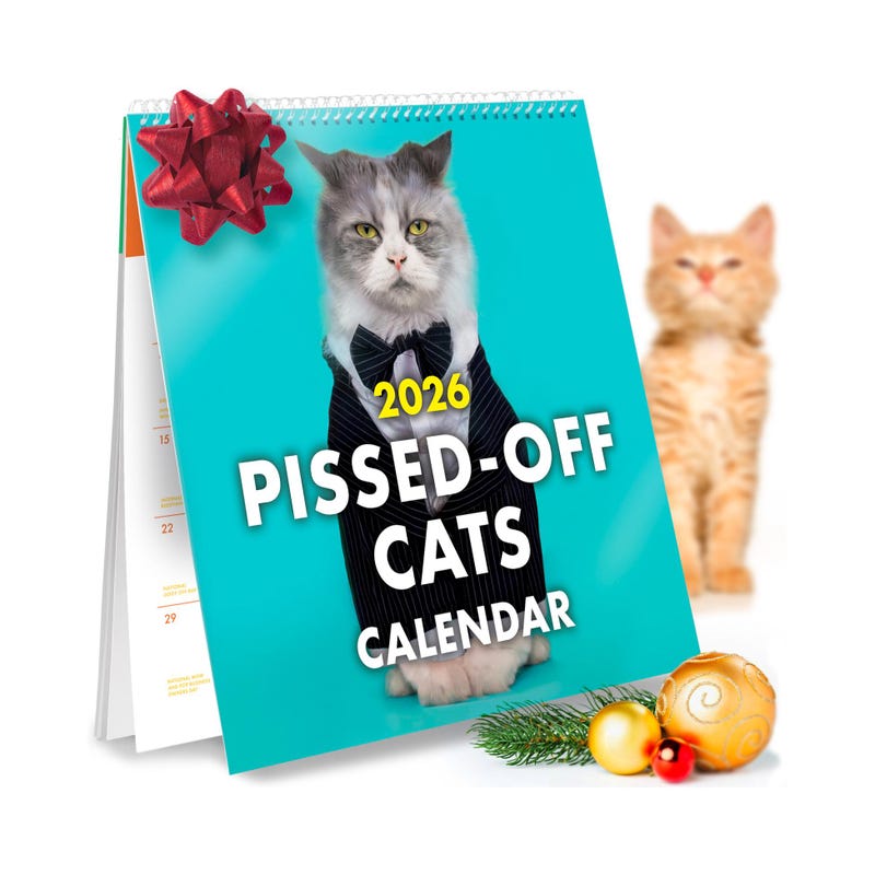 Funny Pet Calendar - Etsy
