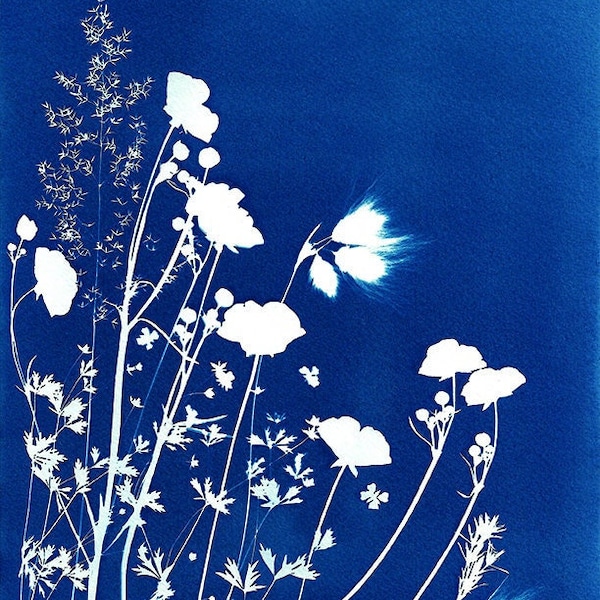 Cyanotype - Etsy UK