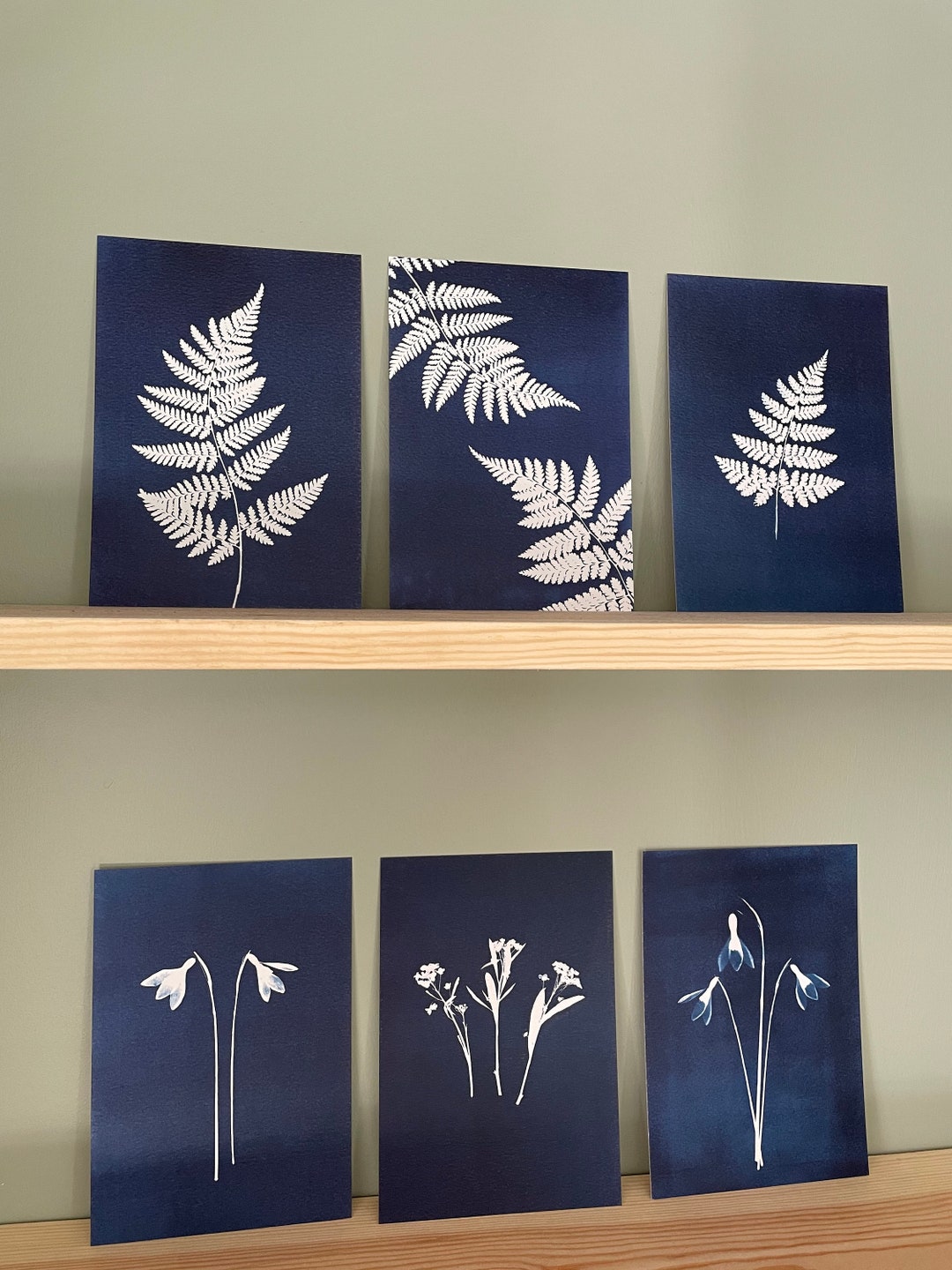 Botanical Print, Cyanotype Print, A5 Print, Plant Lover, Botanical Wall ...