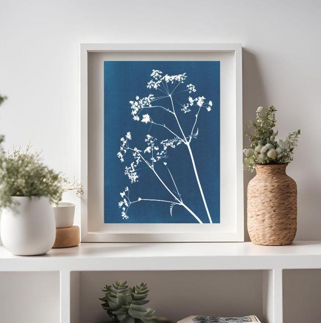 Botanical Print, Cow Parsley Print, Cyanotype Print, A4 Print, A5 Print ...