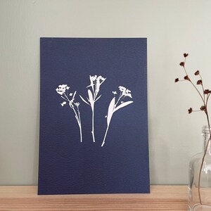 Botanical Print, Cyanotype Print, A5 Print, Plant Lover, Botanical Wall ...