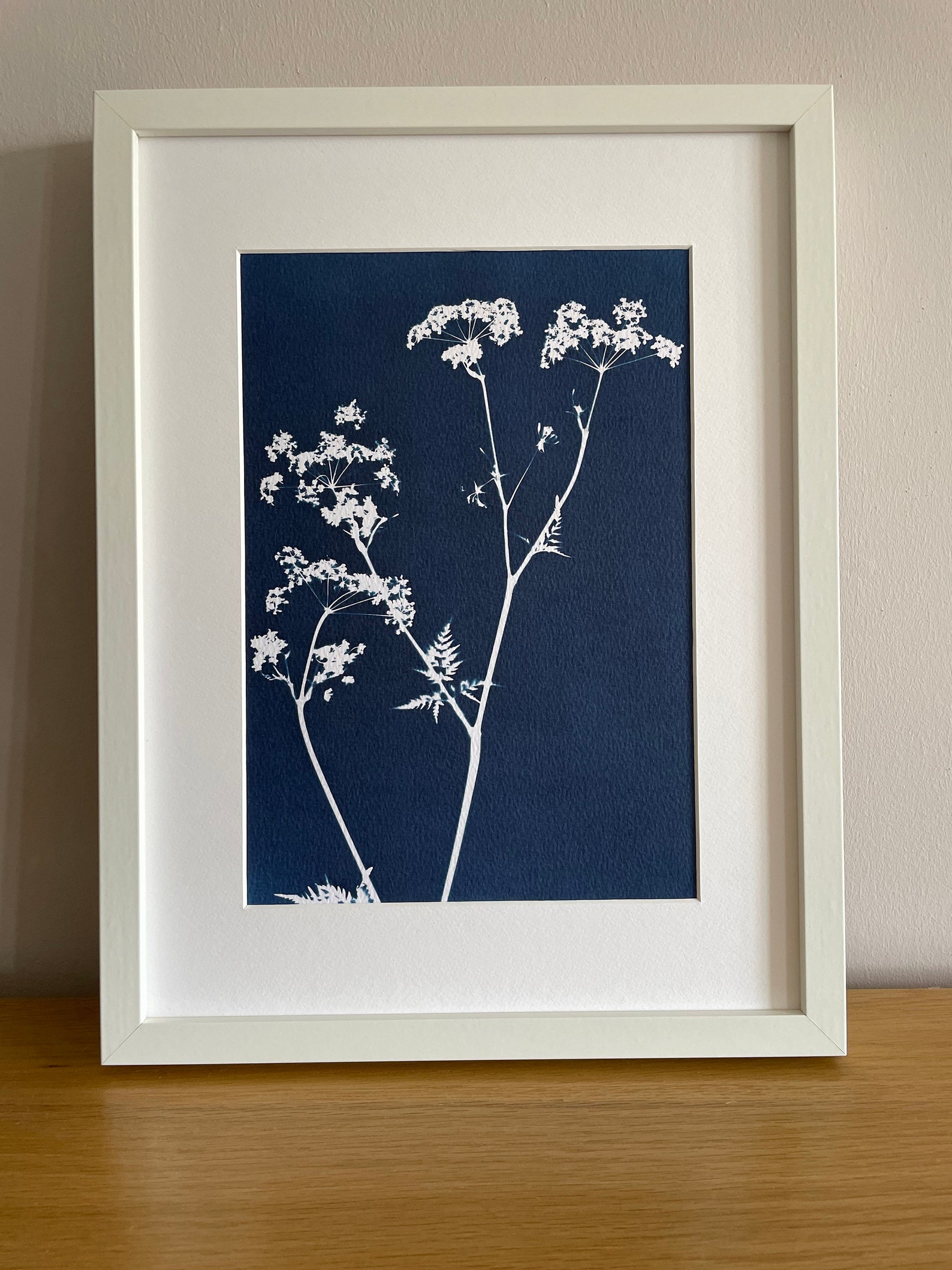 Botanical Print, Cow Parsley Print, Cyanotype Print, A4 Print, A5 Print ...