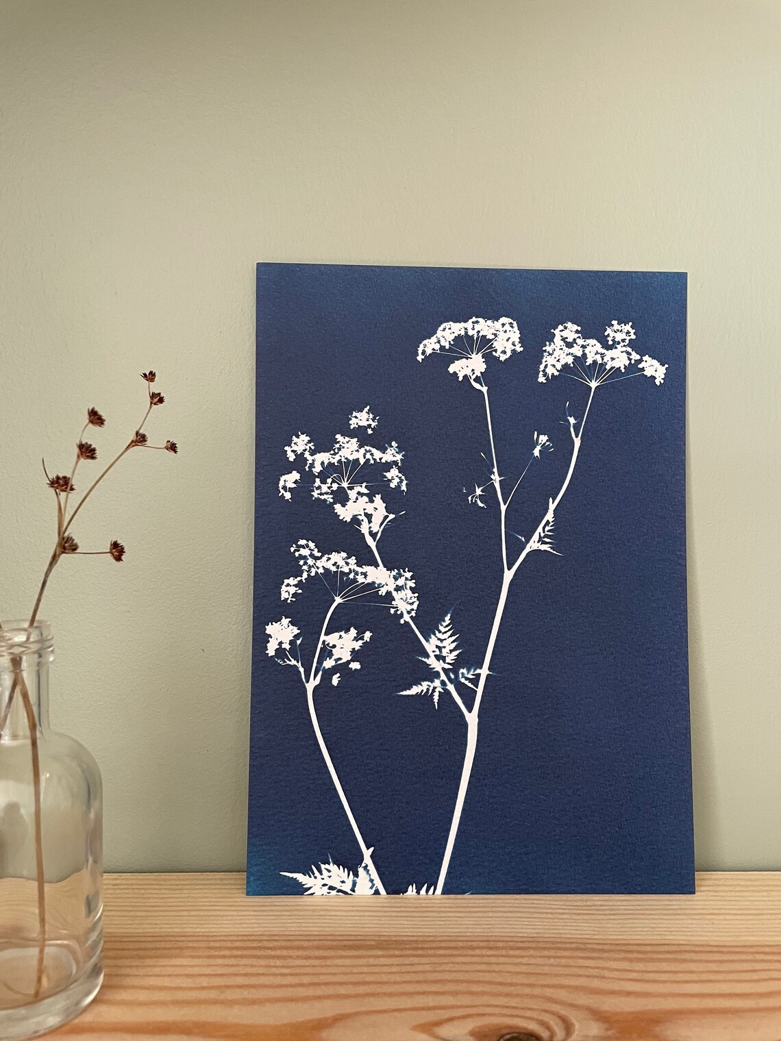Botanical Print, Cow Parsley Print, Cyanotype Print, A4 Print, A5 Print ...