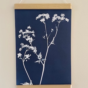 Botanical Print, Cow Parsley Print, Cyanotype Print, A4 Print, A5 Print ...