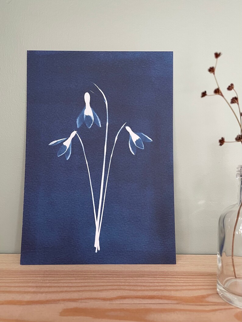 Botanical Print, Cyanotype Print, A5 Print, Plant Lover, Botanical Wall ...