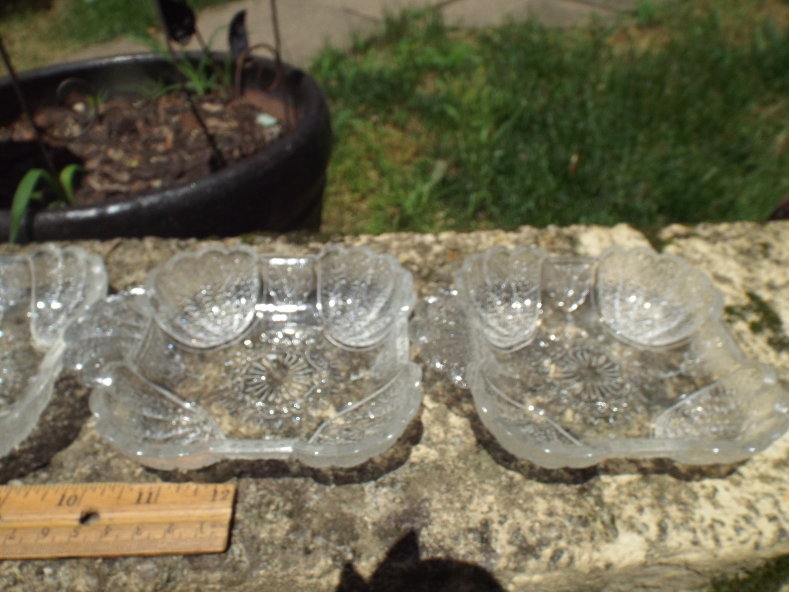 EAPG George Duncan and Sons 1880 Shell and Tassel 4 Glass - Etsy