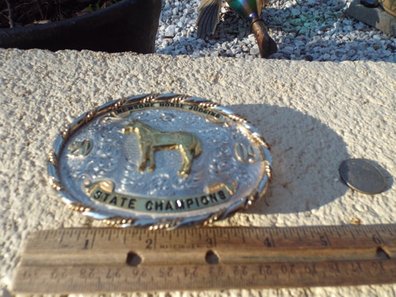 Classic Vintage Montana Silversmiths NEWSOME Horse J… - Gem