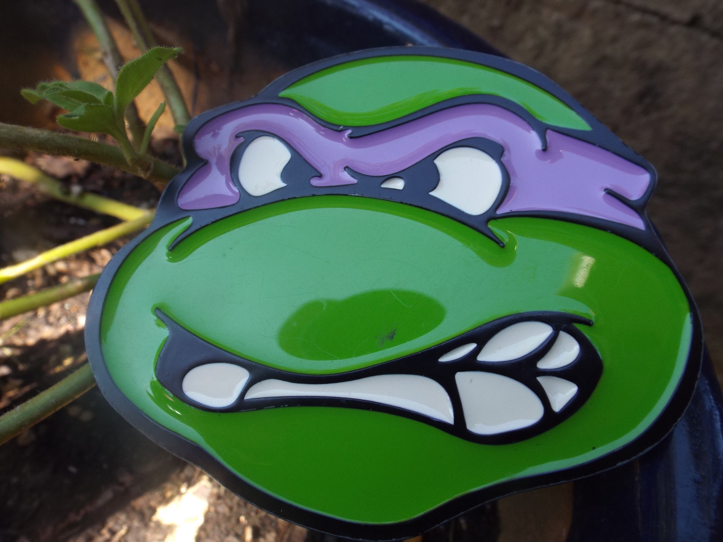Angry Ninja Turtle Face