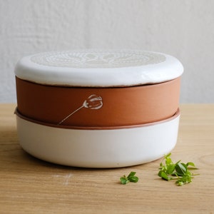 Clay Sprouter, Spouting Seed Sprouter, Microgreen Sprouter, Sprouting ...