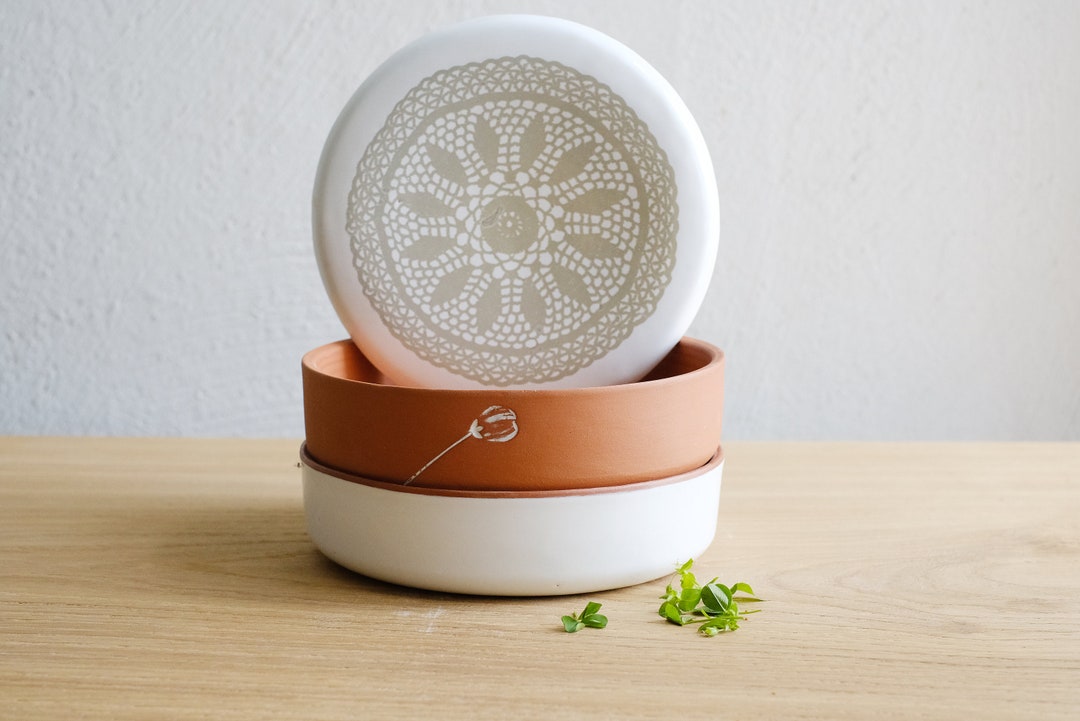 Clay Sprouter, Spouting Seed Sprouter, Microgreen Sprouter, Sprouting ...